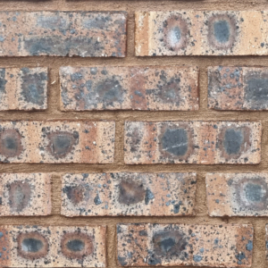 Nova Bricks – Nova Bricks