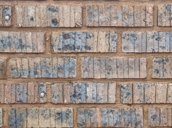 NFX Base – Nova Bricks