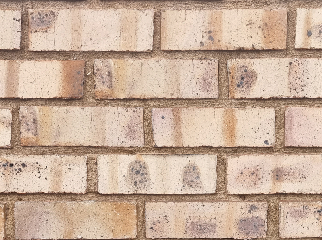 Rainbow Yellow – Nova Bricks